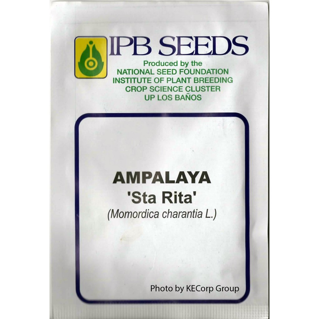 IPB UPLB Seeds Ampalaya 'Sta Rita' (Momordica Charantia L.) 5g GDSFPH ...