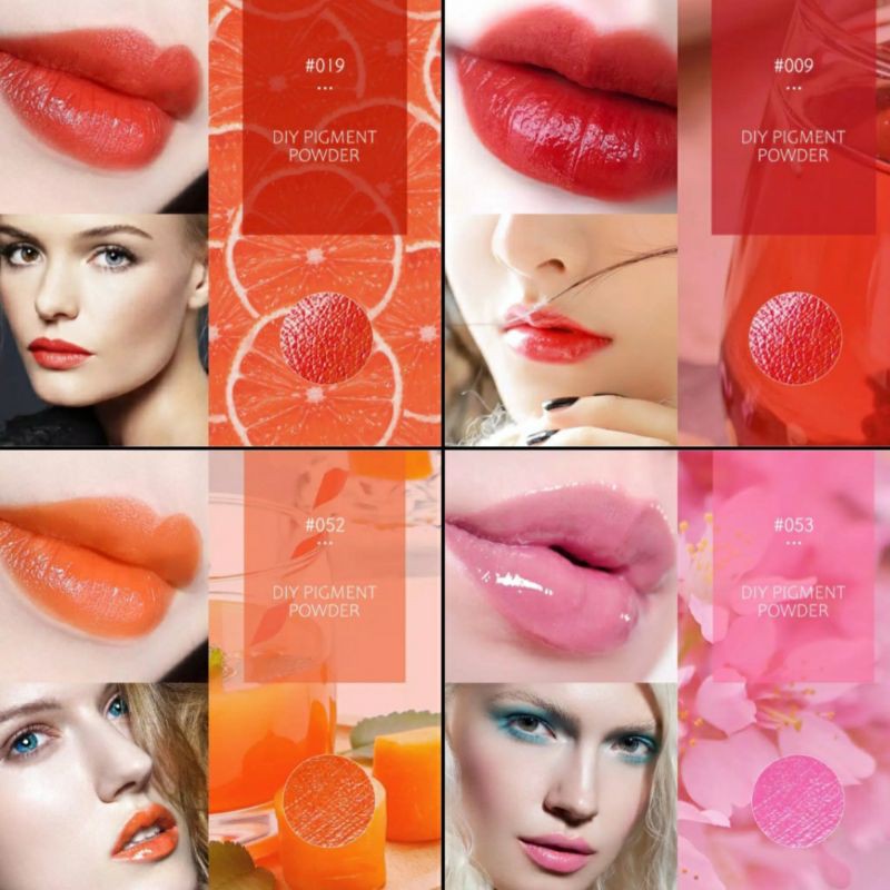 Diy Pigment Color Lip Gloss Powder | Shopee Philippines