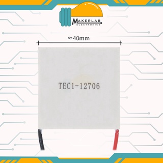 Thermoelectric Peltier Cooler TEC-12706 | TEC-12715 | Shopee Philippines