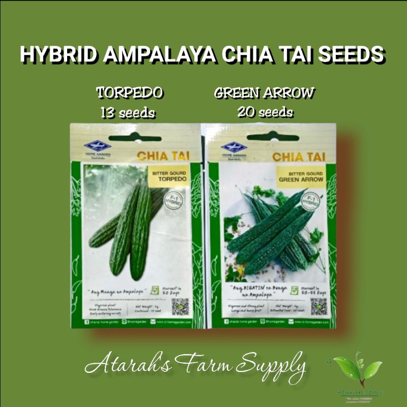 COD! Hybrid Chia Tai Torpedo/ Green Arrow (Amplaya) Seeds | Shopee ...
