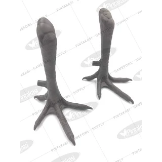 Shop tari for Sale on Shopee Philippines