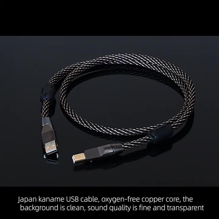 HIFI USB OTG Cable USB Type A to B USB Cable 6N OFC Type C to Type B ...