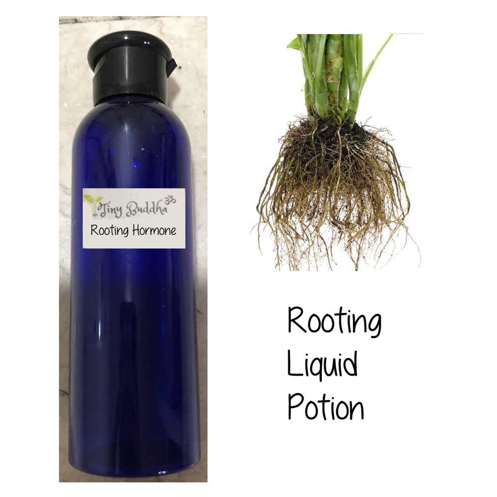 fast rooting hormone liquid potion 100ml indoor outdoor plants | Shopee ...