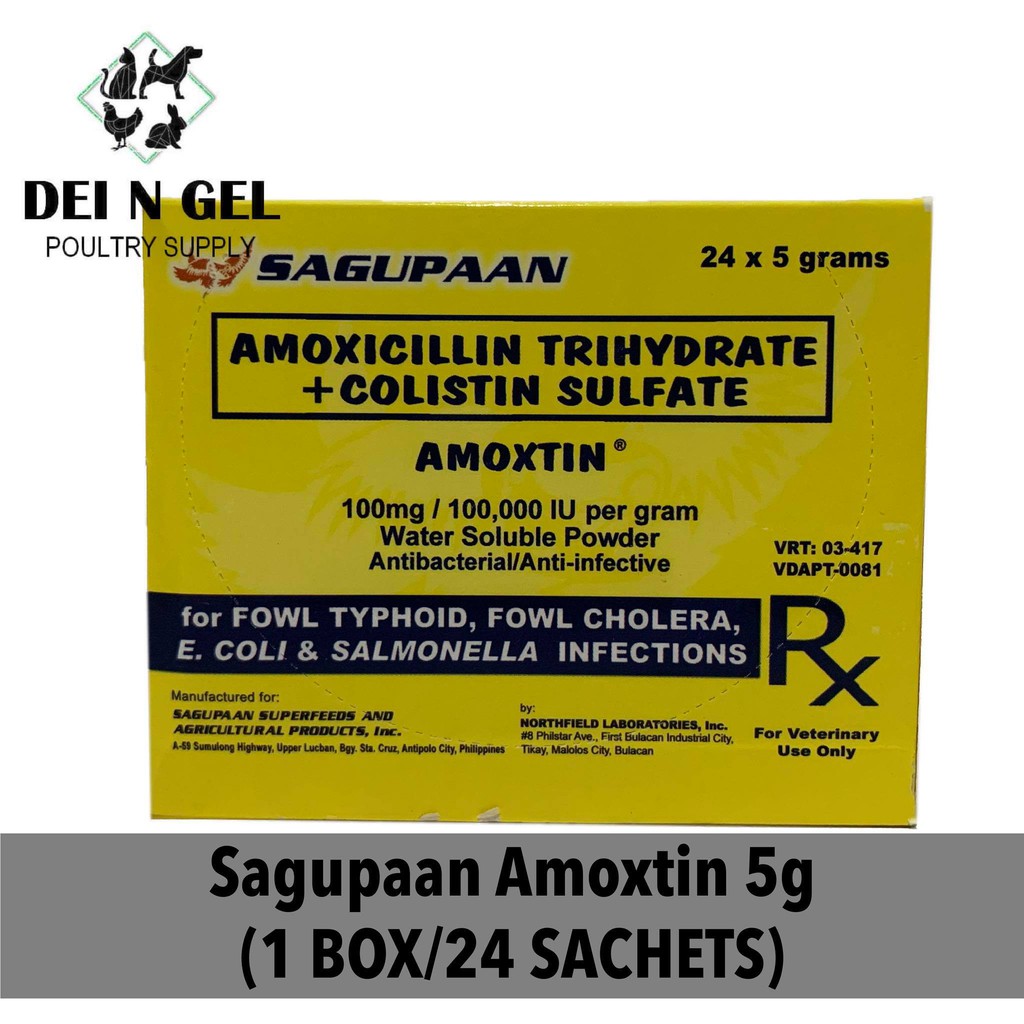 Sagupaan Amoxtin 5g (1 BOX/24 SACHETS) | Shopee Philippines