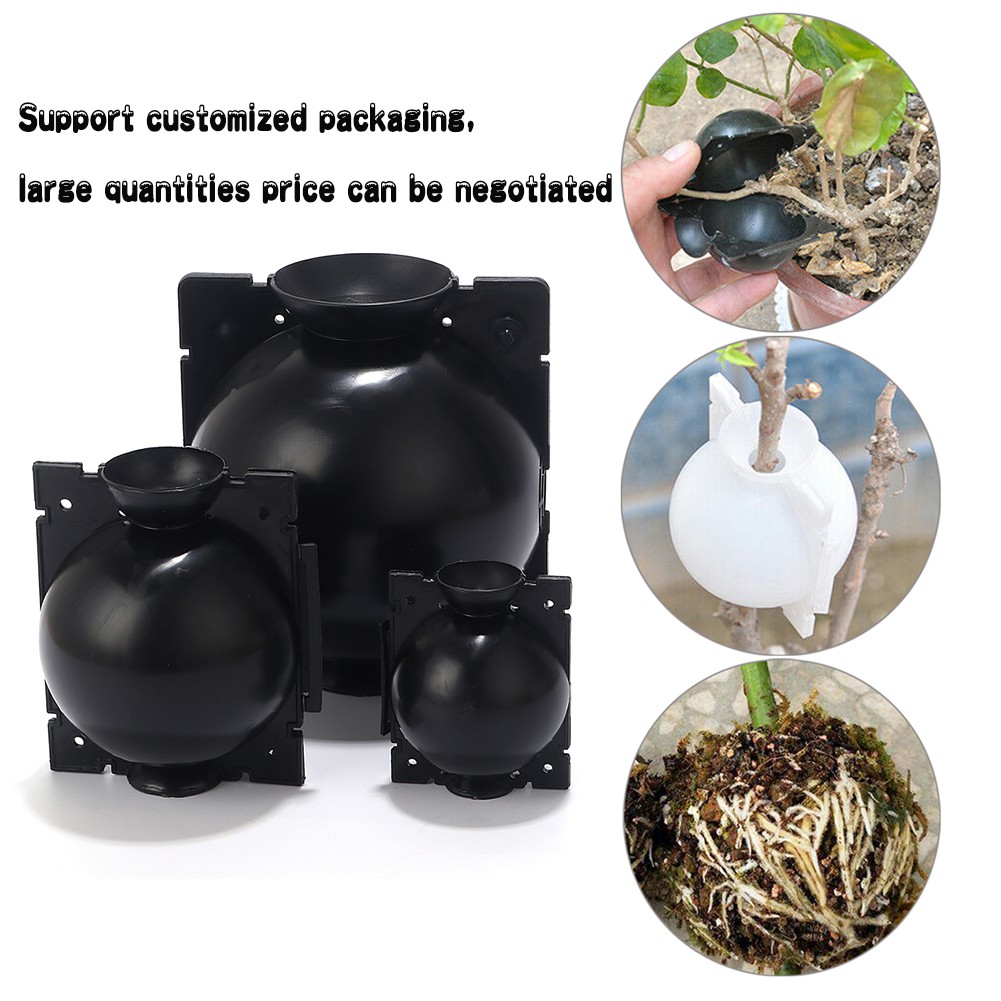 8 Pcs Plant Rooting Box Ball Grafting Rooting Plastic Garden Nursery ...