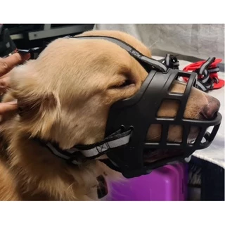 busal - Best Prices and Online Promos - Jan 2026 | Shopee Philippines