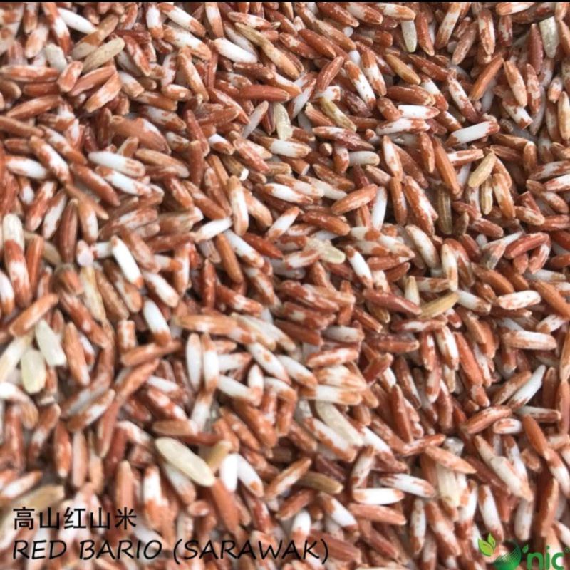 Sarawak Red Bario Rice 5KG | Shopee Philippines