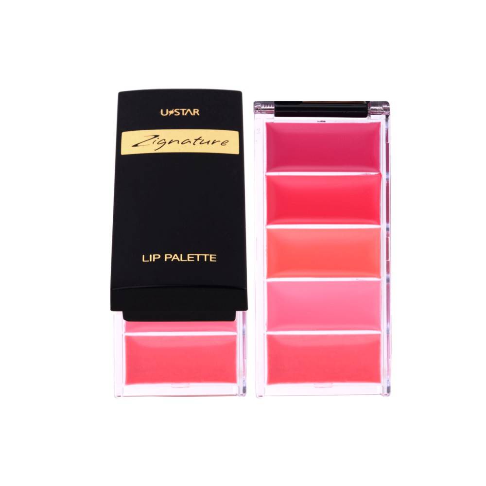 Ustar Zignature Lip Palette Signature No.01-Pink | Shopee Philippines