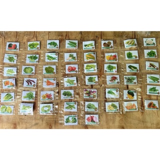 (SET 1) SULIT PACK! VEGETABLE SEEDS! (Pechay Sitaw Okra Talong Sili ...