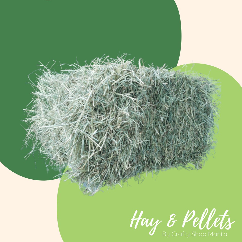 Star Grass Hay 4kg (Single Compressed) [Hay & Pellets] | Shopee Philippines
