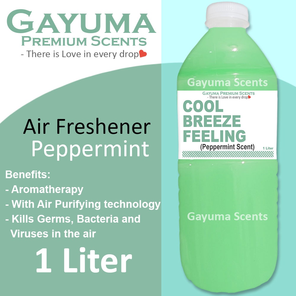 Gayuma PEPPERMINT 1 Liter Premium Hotel Scents for Humidifier Diffuser ...