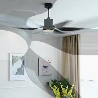 CHNT Ceiling Fan With Light Remote Big Size Smart Timing DC Motor For ...