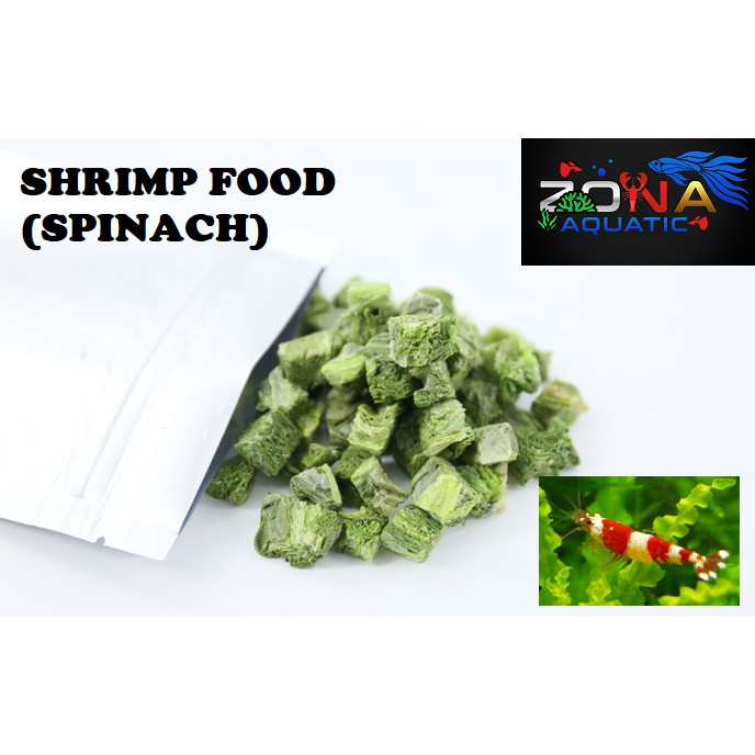 SPINACH CUBE SHRIMP FOOD CRAYFISH FOOD LOBSTER FOOD AQUARIUM SHRIMP ...