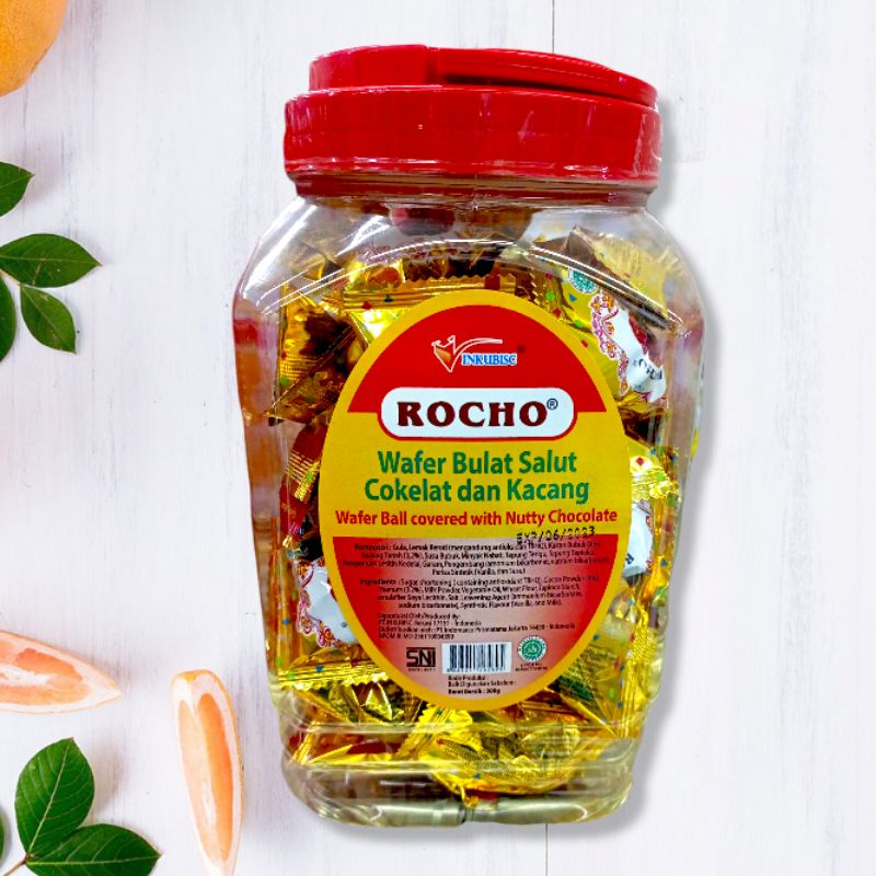 Rocho Wafer Round Chocolate And Peanut Coating 300g | Shopee Philippines