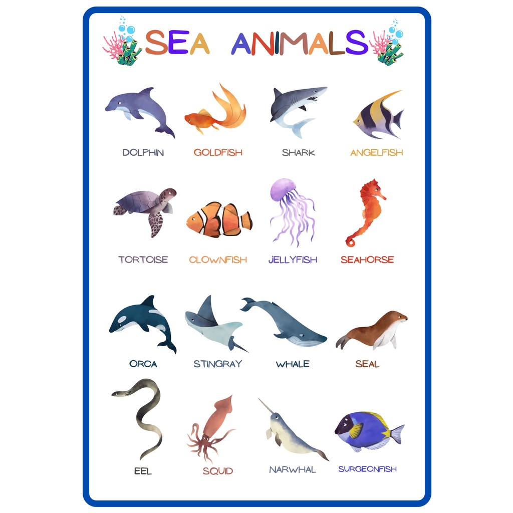 ANIMALS POSTERS, Animals Charts, Laminated Educational chart for kids ...