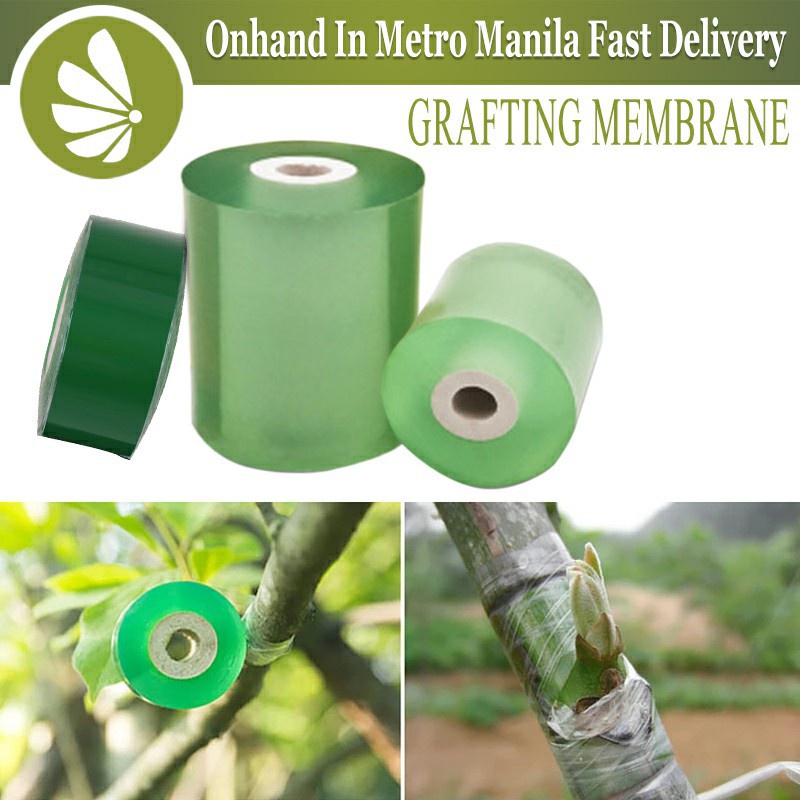 ๑2Cm 3Cm 5Cm Pe Grafting Membrane Trees Winding Film Width Special ...