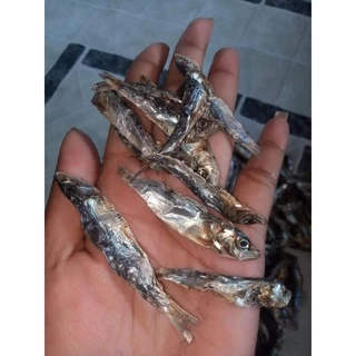 lupoy fish - Best Prices and Online Promos - May 2024 | Shopee Philippines