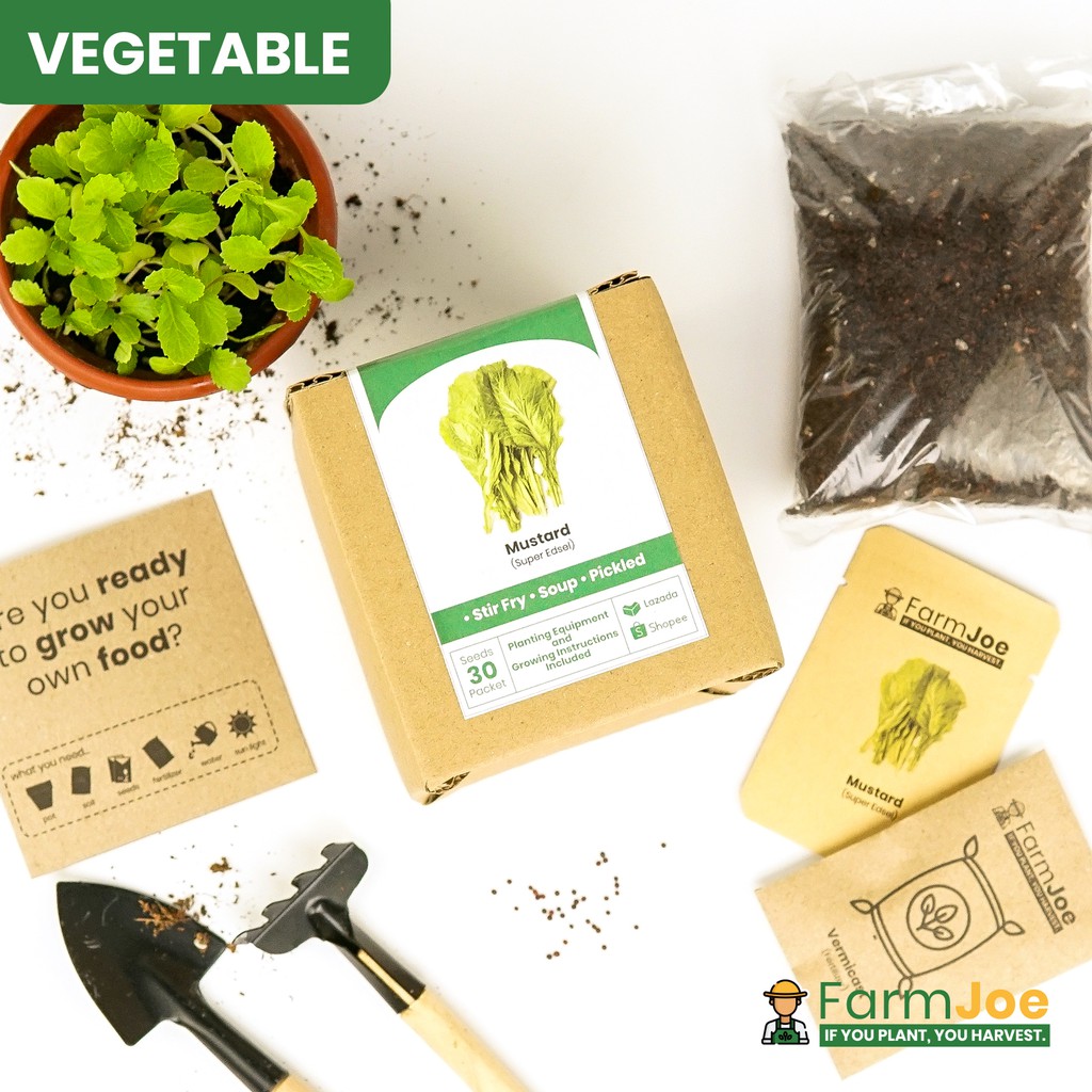 Growing Kit MUSTARD • Seedling Kit • Seed Starting Kit • Grow Kit ...