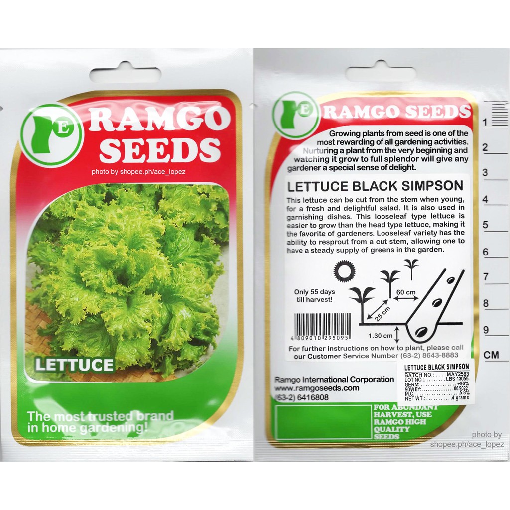 Ramgo Condor Yates Lettuce Salad Seeds - Sold per Pack per Variety ...