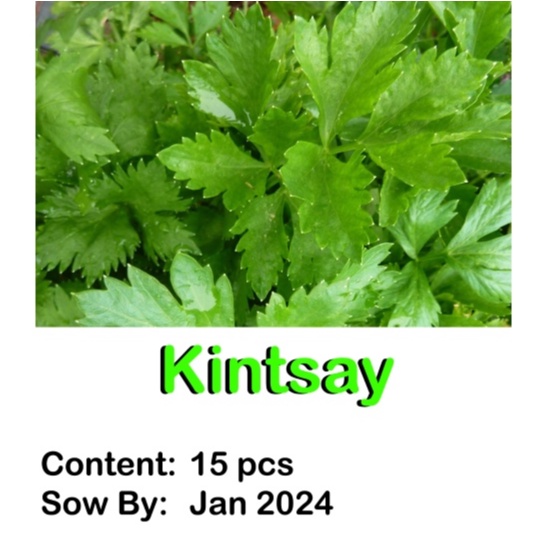 Herbs Seeds Sweet Basil Kintsay Celery Parsley Wansoy Chives Peppermint ...