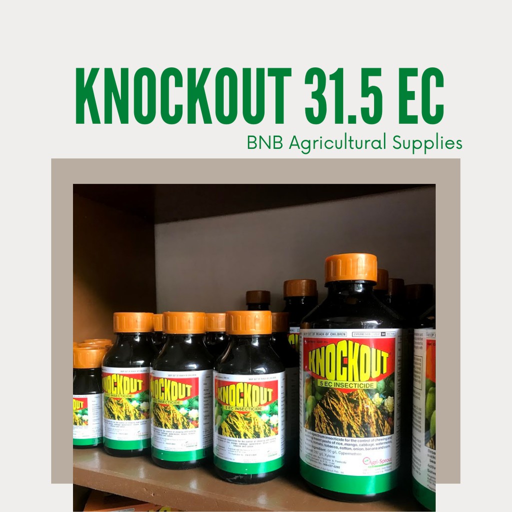 Knockout 5 EC Agri-Sprout Insecticide 1liter | 500ml | 250ml | Shopee ...