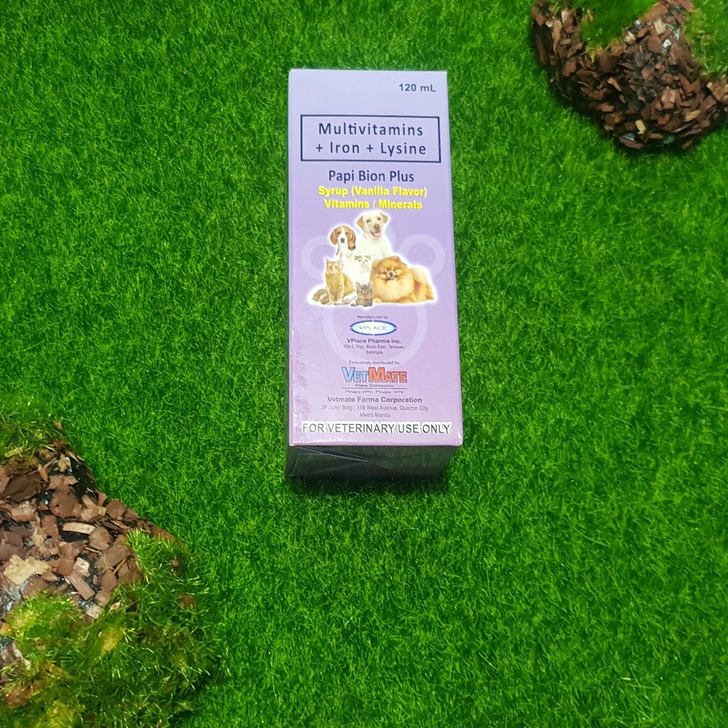 Papi Iron Plus B-Complex 120 ml with 1 FREE SYRINGE | Shopee Philippines