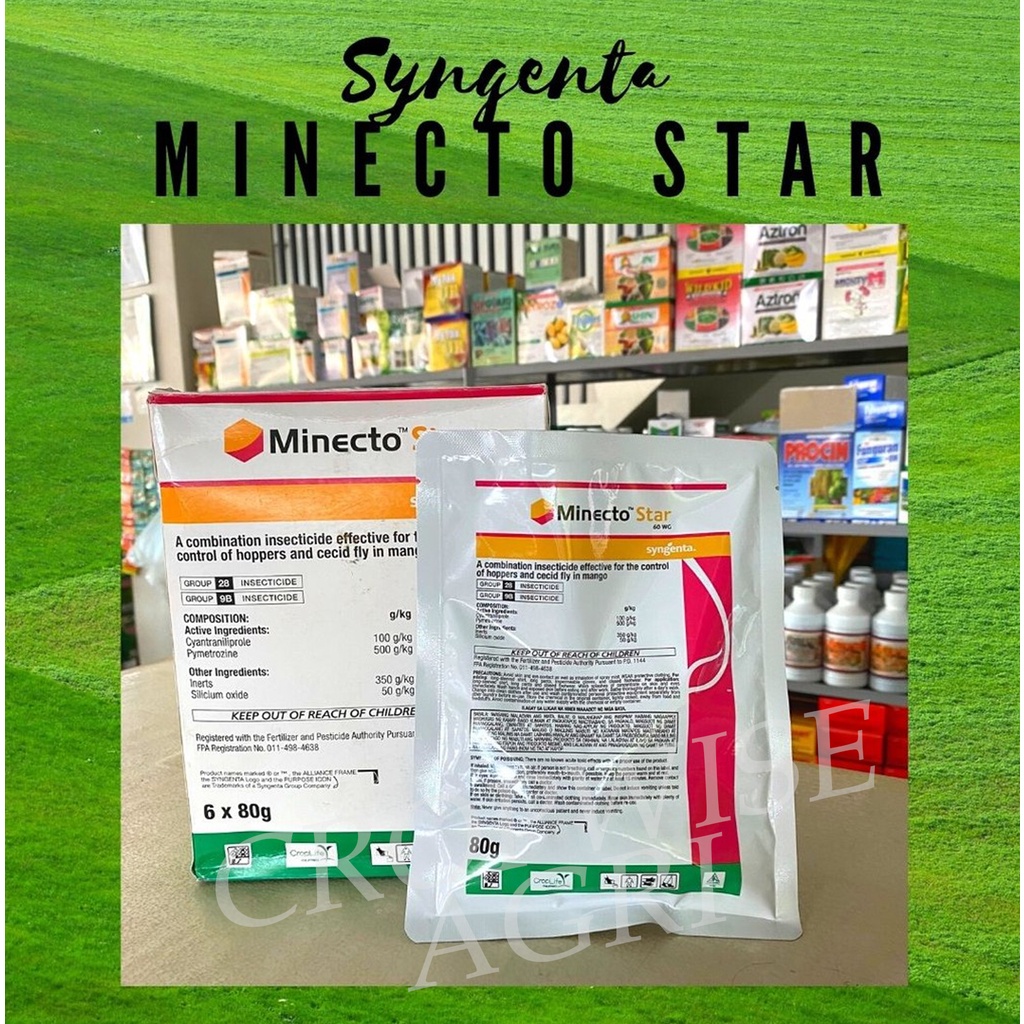 Syngenta MINECTO STAR 60WG Insecticide 80gms | Shopee Philippines