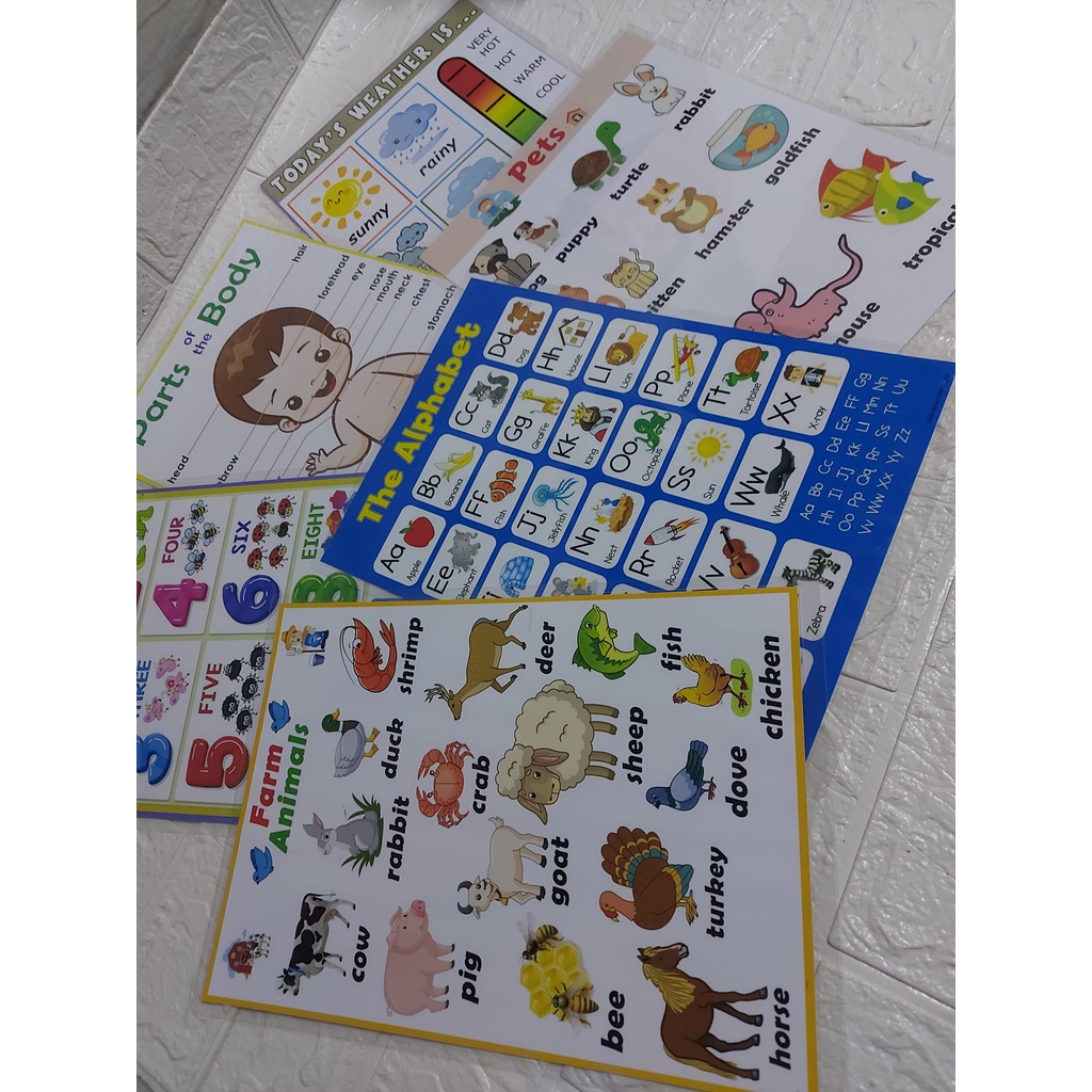 LAMINATED Learning Chart A4 Size | Shopee Philippines