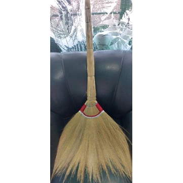 Walis Tambo or Soft Broom Romblon | Shopee Philippines