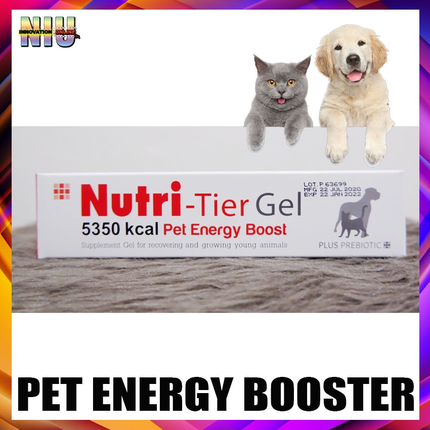 Nutri-Tier Gel Pet Energy Booster Supplement Gel + Prebiotics for Dogs ...