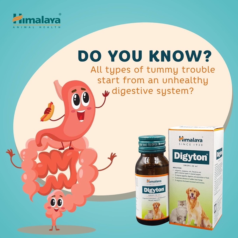 Himalaya Digyton Drops For Pets Relieves Constipation bloating ...