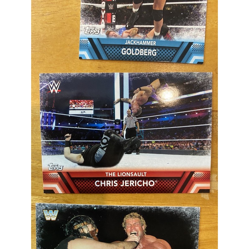 Chris Jericho The Lionsault wwe | Shopee Philippines