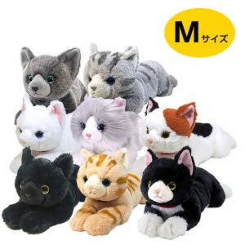 C10. SUNLEMON CAT SMALL MEDIUM doll export from Japan | Shopee Philippines