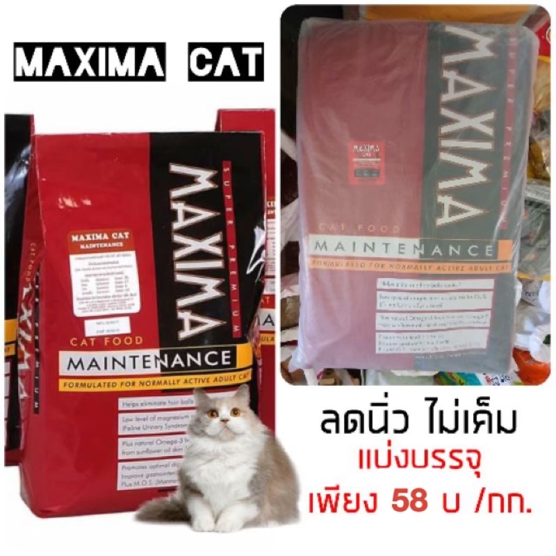 [1 kg] Maxima Cat Food Packaged 1 kg. | Shopee Philippines