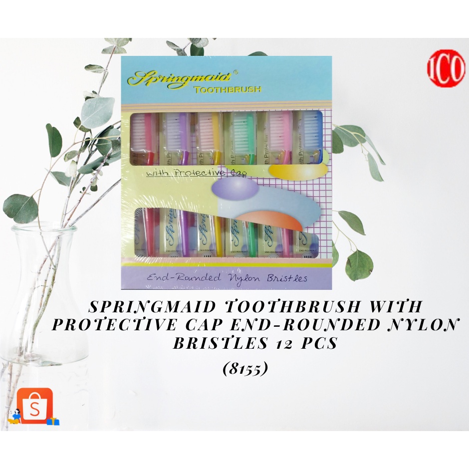 Springmaid Toothbrush With Protective Cap End-Rounded Nylon Bristles 12 ...