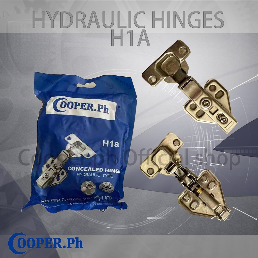 Cooper.ph 2pcs Hydraulic soft close Concealed Hinges Regular for ...