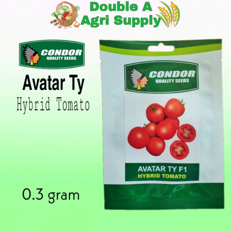 Avatar Ty F1 Hybrid Tomato / Kamatis / Vegetable Seeds Pack - Condor ...