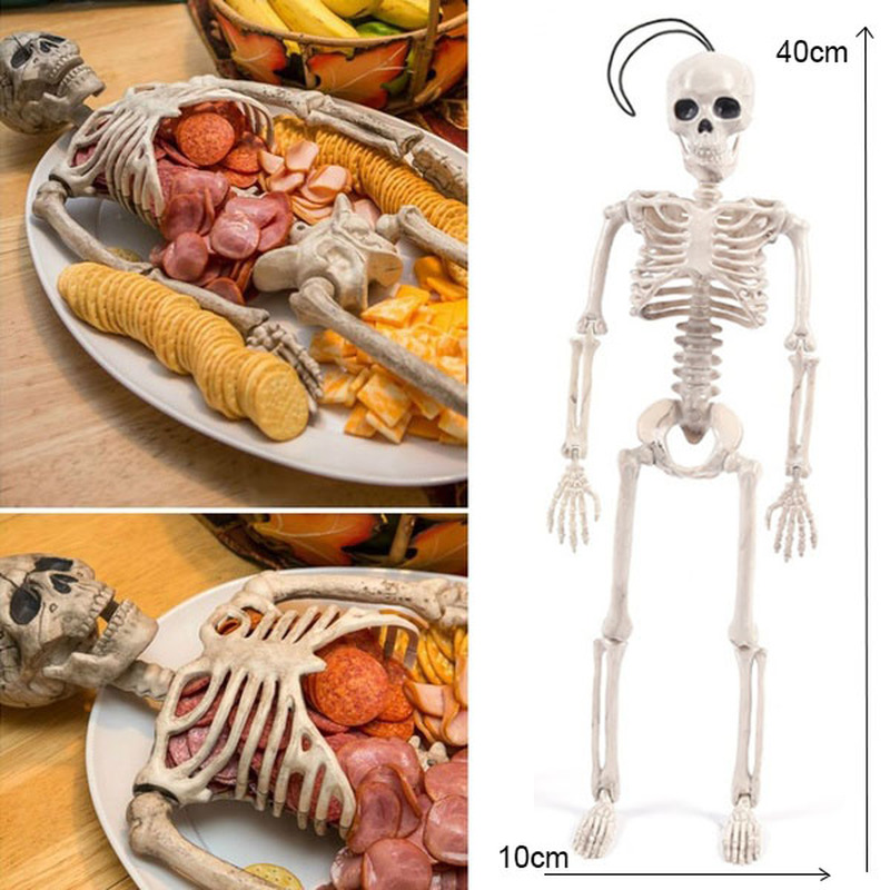 40cm Halloween Skeleton Plastic Human Skeleton Anatomical Model ...