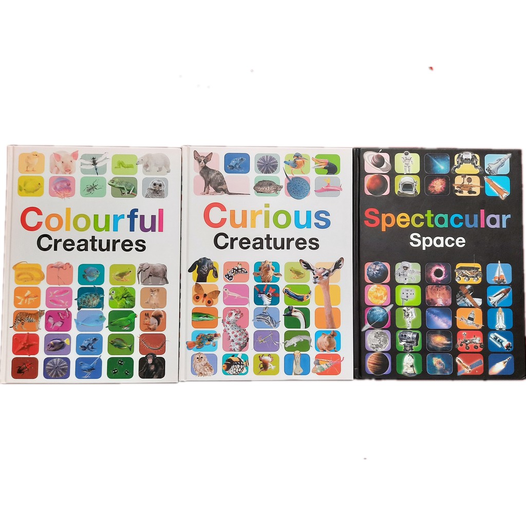 BEAUTIFUL Real Animals Photograph Book - Colourful Creatures + Curious ...