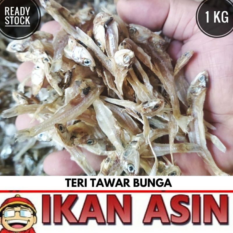 Fresh TERI Salted Fish 1 kg | Shopee Philippines