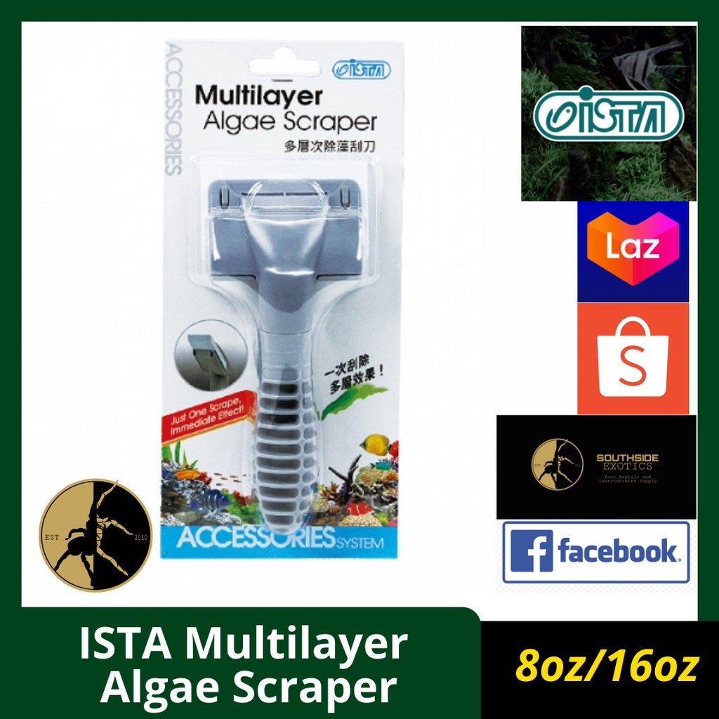Ista Multilayer Algae Scraper | Shopee Philippines