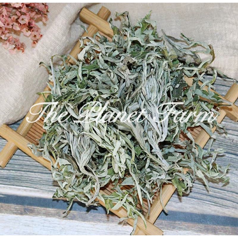 Organic Herd Dried Mugwort Leaf艾叶/Bath or Foot soak(30g) | Shopee ...