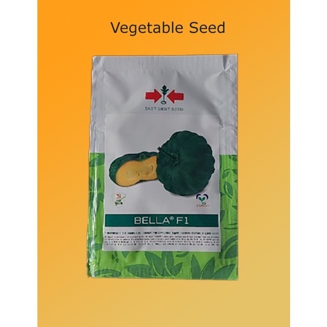 BELLA F1 (60 SEEDS) ASENSO PACK HYBRID CALABASA BY EAST WEST SEEDS ...