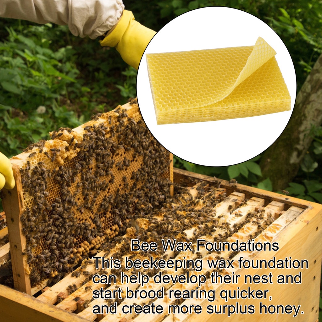 EAS-10pcs Bee Wax Foundation Bee Hive Wax Frames Base Sheets Bee Comb ...