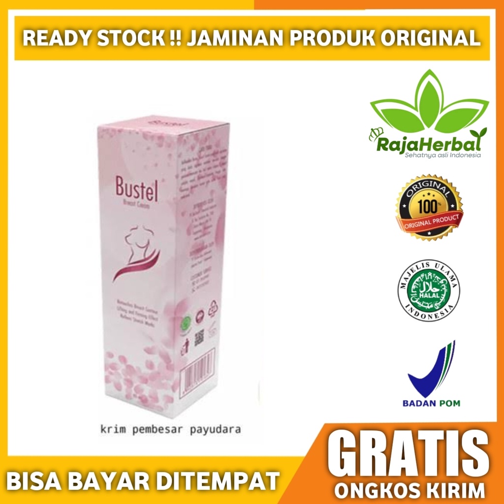 Bustel BRESTEL CREAM Enlarging Breast Tightening Solid BPOM - Breast ...