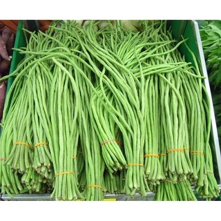 Basic Farm House, Online Shop | Shopee Philippines