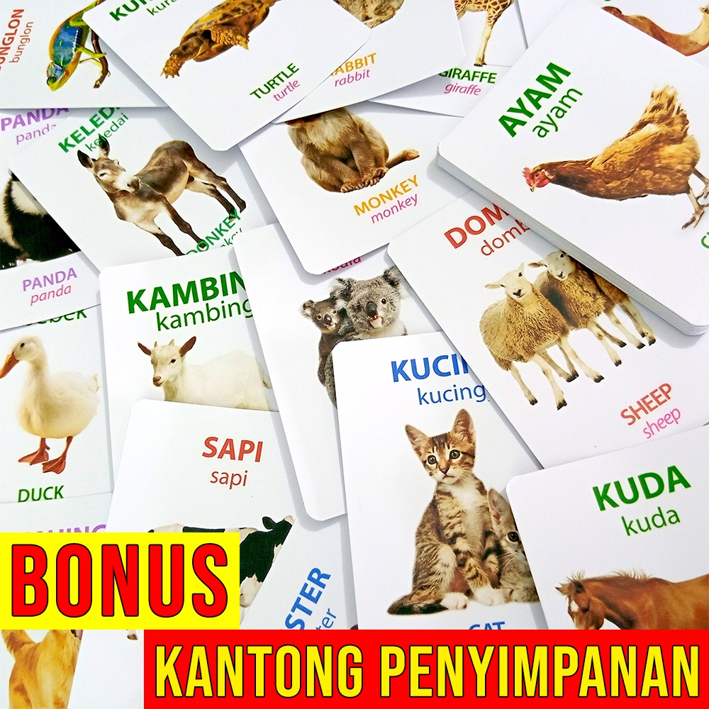 Wholesale Toy Card Flash Card Animal Card Series 1 (2 Indonesian And ...