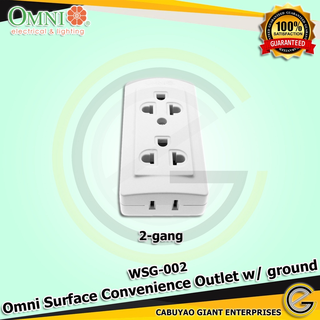 Omni WSG-002 Surface Convenience Outlet with Ground 2-Gang 10A 250V ...