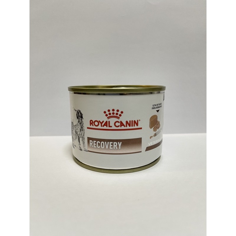 Royal Canin RECOVERY DIET for Dog and Cat Wet food in CAN 195g VET ...