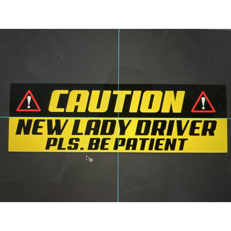 Brand New Custom Weather proof Lady Driver Caution Car Sticker 8 inches ...